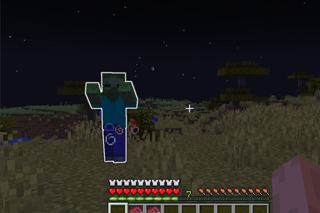 【マイクラ】データパックの概要と入れ方【マルチプレイ対応】 ｜ ひきこもろん